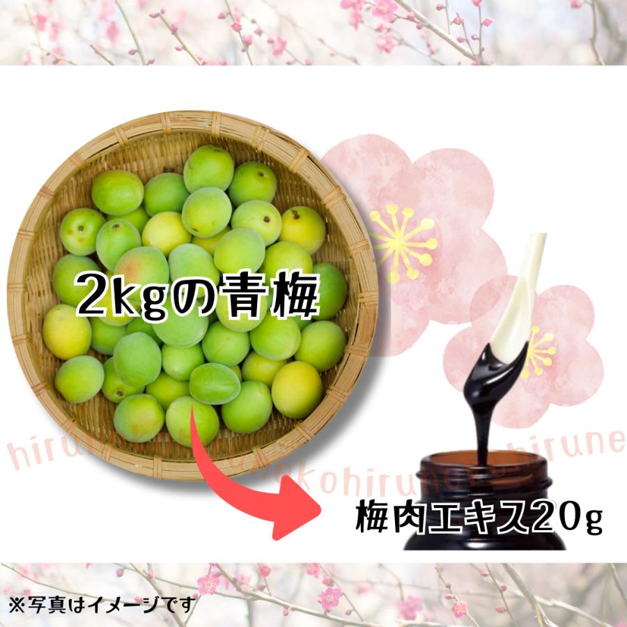 健康フーズ 梅肉エキス 90g : ひるねこ - 通販 - Yahoo!ショッピング