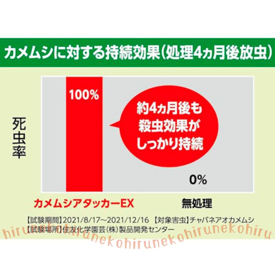 カメムシ 対策 かめむし 不快害虫剤 カメムシアタッカーEX 480ml 住友化学園芸 駆除 速効 持続 【3本セット】 : ひるねこ - 通販 - Yahoo!ショッピング