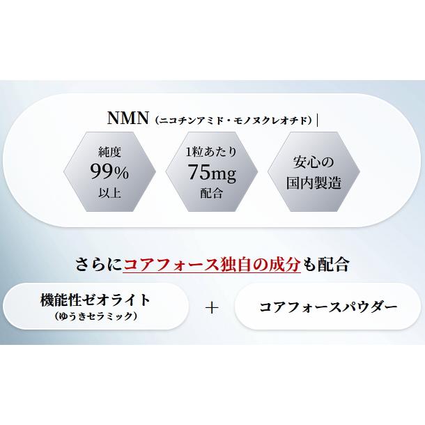 COREFORCE コアフォースNMN 120粒 サプリメント NMN コアフォース 日本製 NMNサプリメント 国産 インフォームドスポーツ認証 国産NMNサプリ : ヘルシーラボ - 通販 ...