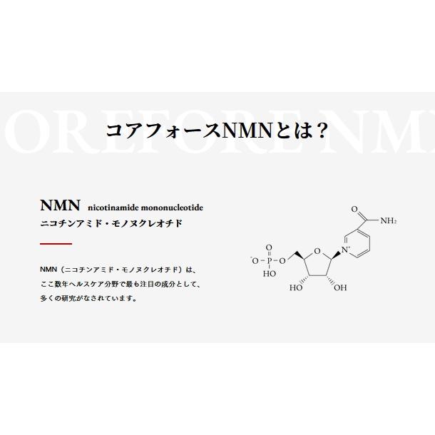 COREFORCE コアフォースNMN 120粒 サプリメント NMN コアフォース 日本製 NMNサプリメント 国産 インフォームドスポーツ認証 国産NMNサプリ : ヘルシーラボ - 通販 ...