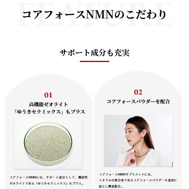 COREFORCE コアフォースNMN 120粒 サプリメント NMN コアフォース 日本製 NMNサプリメント 国産 インフォームドスポーツ認証 国産NMNサプリ : ヘルシーラボ - 通販 ...