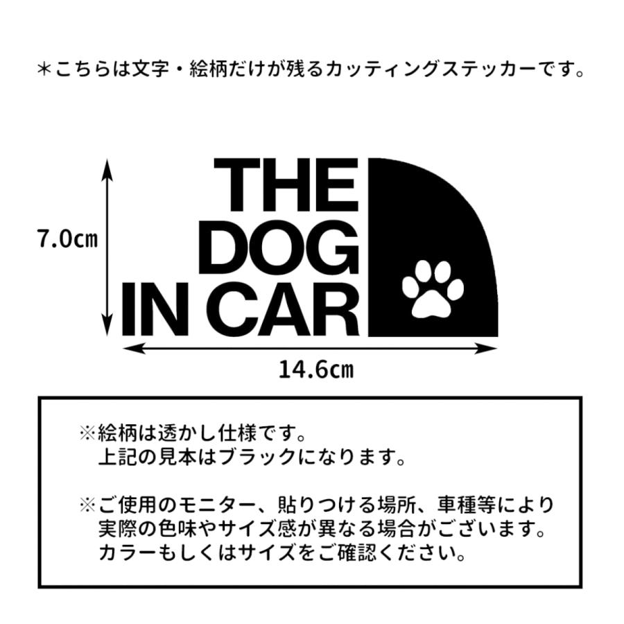 the-dog-in-car
