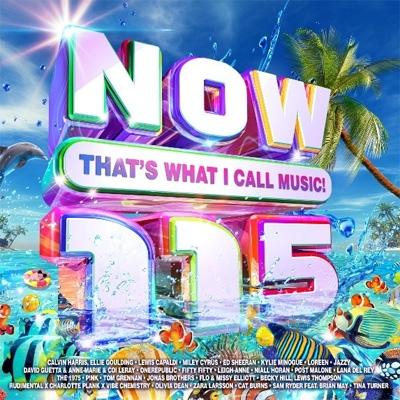 NOW（コンピレーション） / Now That’s What I Call Music! 115 (2CD) 輸入盤 〔CD〕 : HMV ...