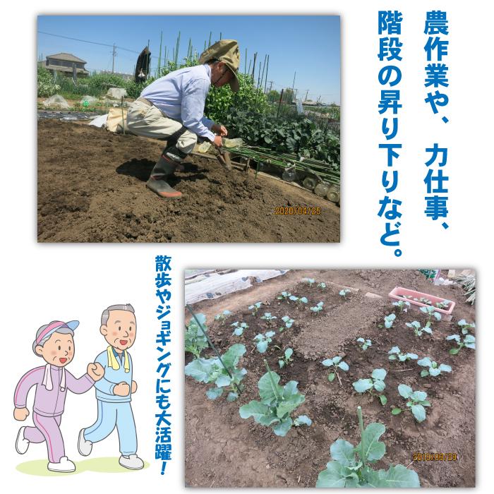 進化版 ひざサポーター A0034 2枚入り 膝サポーター 関節痛 健康 散歩 ウォーキング 農作業 階段 膝の痛み スポーツ 高齢者 転倒防止 : 良いものセレクト得々市場 - 通販 ...