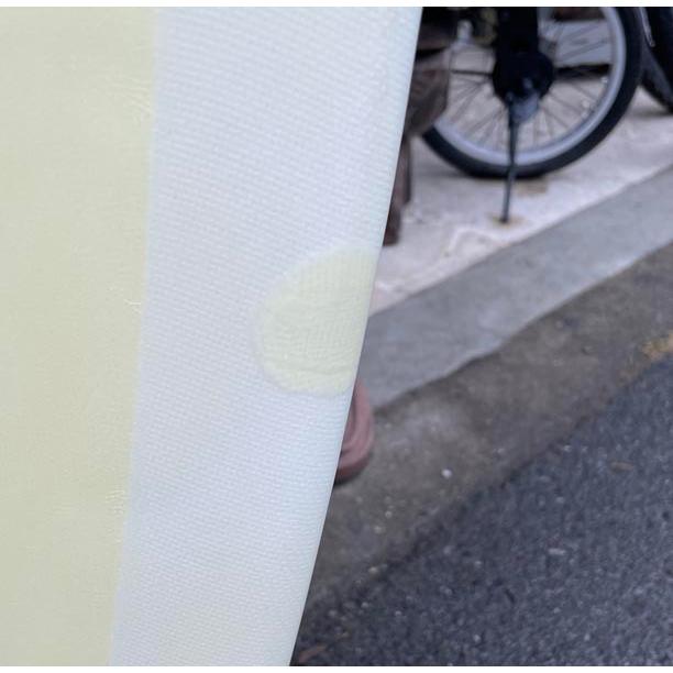 HOBIE PICKLE MODEL（TYLER WARREN タイラー ホビー ロングボード シングルン パフォーマンスノーズライダー）9 ...