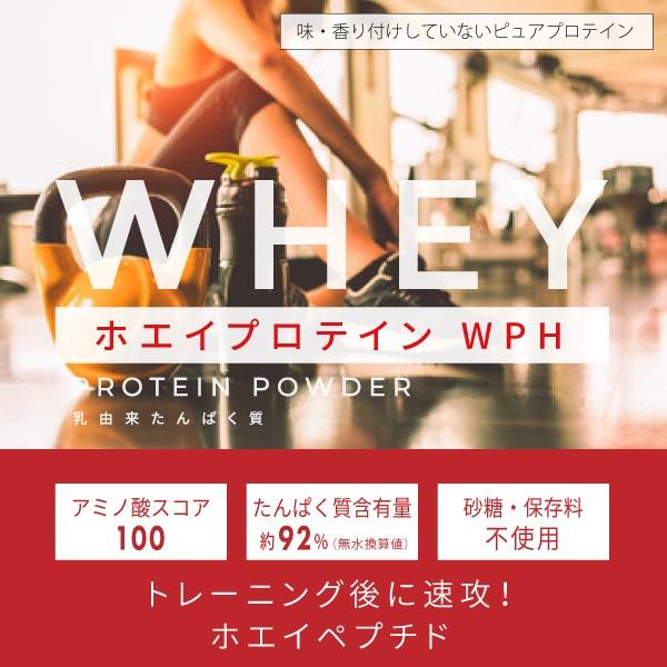 nichie ホエイプロテイン WPH 5kg プレーン味（低分子 ホエイペプチド 甘味料 香料無添加 プロテイン ホエイ 100 パウダー） : nichie ニチエー - 通販 ...