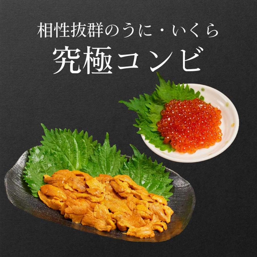 チリ産生うに 100gx2 北海道産イクラ 60gx2 セット 無添加 みょうばん不使用 生ウニ いくら 海鮮丼 雲丹 冷凍 送料無料 ハロウィン お歳暮 御歳暮 : ikura60gx2 ...