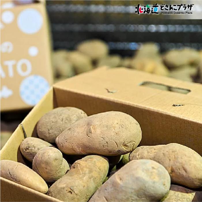 産地出荷「厚沢部町 道南いたさか農園 特別栽培メークイン 5kg（S〜2L混玉）」常温 送料込 じゃがいも 新じゃが 道南 : 北海道どさんこプラザ - 通販 - Yahoo!ショッピング