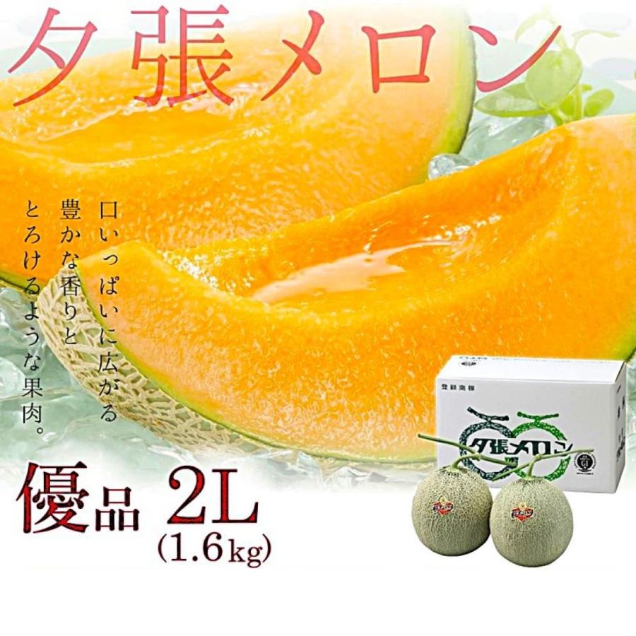 夕張メロン 優品 大玉 2Lサイズ(約1.6kg) 2玉 共撰 夕張農協 合格品 受付期間6/20(金）〜7/17(木)〉：発送7月上旬〜7月下旬 : 北海道めし - 通販 - Yahoo ...