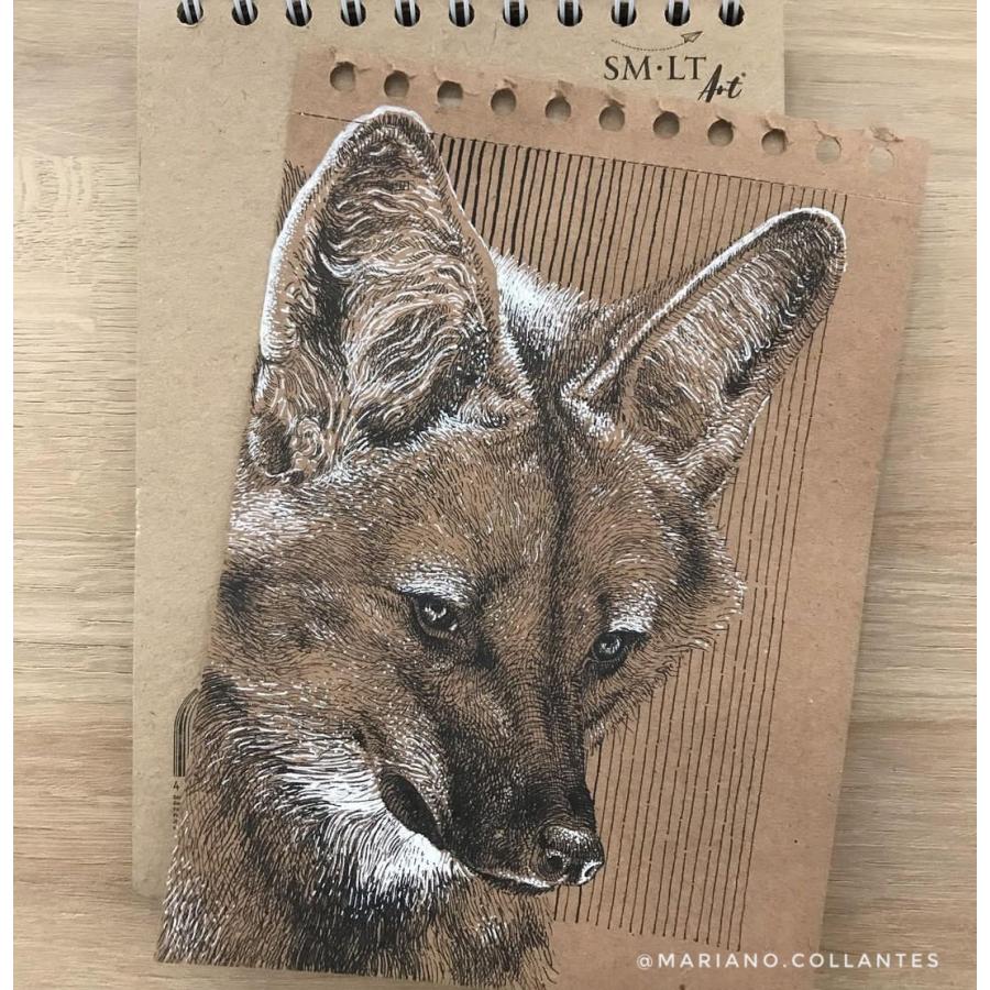 SM・LT オーセンティック スケッチブック ブラウン スパイラル製本 A5サイズ :5EB-80TS-NTB:ホーコーステーショナリー - 通販 - Yahoo!ショッピング