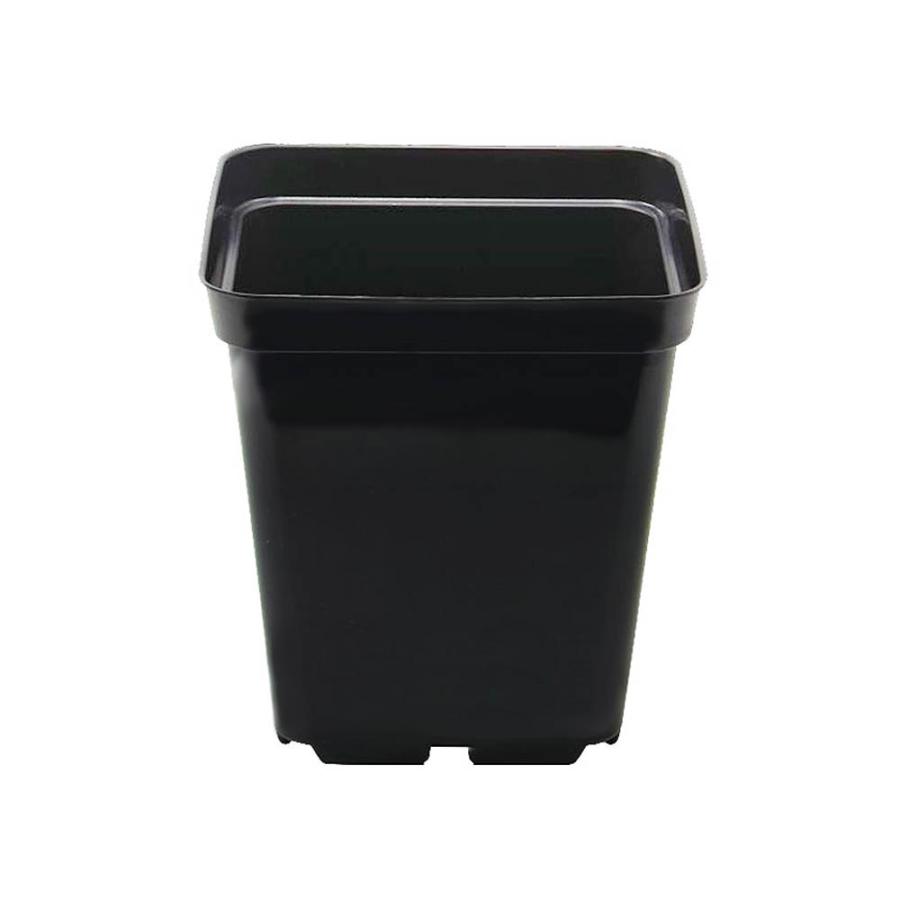 Square polypot （スクエア ポリポット）S : acc-156 : 室内園芸専門店 Home Grown - 通販 ...