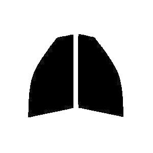 FUNKYGHOST(ファンキーゴースト) プリズム99 運転席、助手席 ギャラン セダン E52A・E53A・E54A・E57A・E64A・E72A・E74A・E77A・E84A カット済み ...