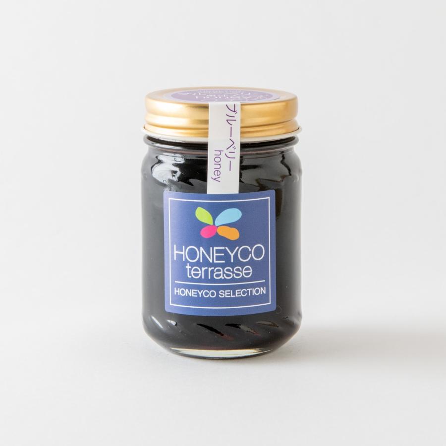 ブルーベリー HONEY 135g : b135 : HONEYCO - 通販 - Yahoo!ショッピング