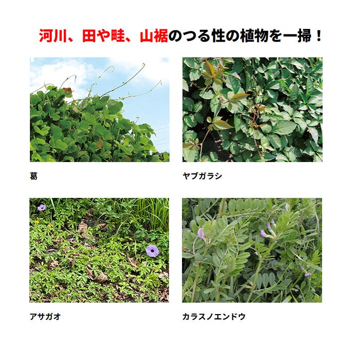 無双 つる草の達人 225mm×24P 2枚 : ほんまもん ヤフーショップ - 通販 - Yahoo!ショッピング