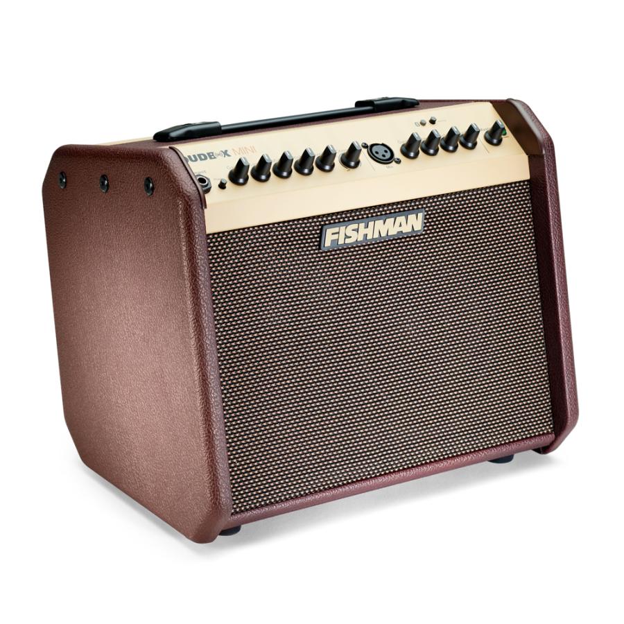FISHMAN LOUDBOX MINI Bluetooth Amplifier[PRO-LBT-JA5] 《アコースティック用アンプ》 【送料当社負担】 : クロサワ楽器 ヤフー店 - 通販 ...