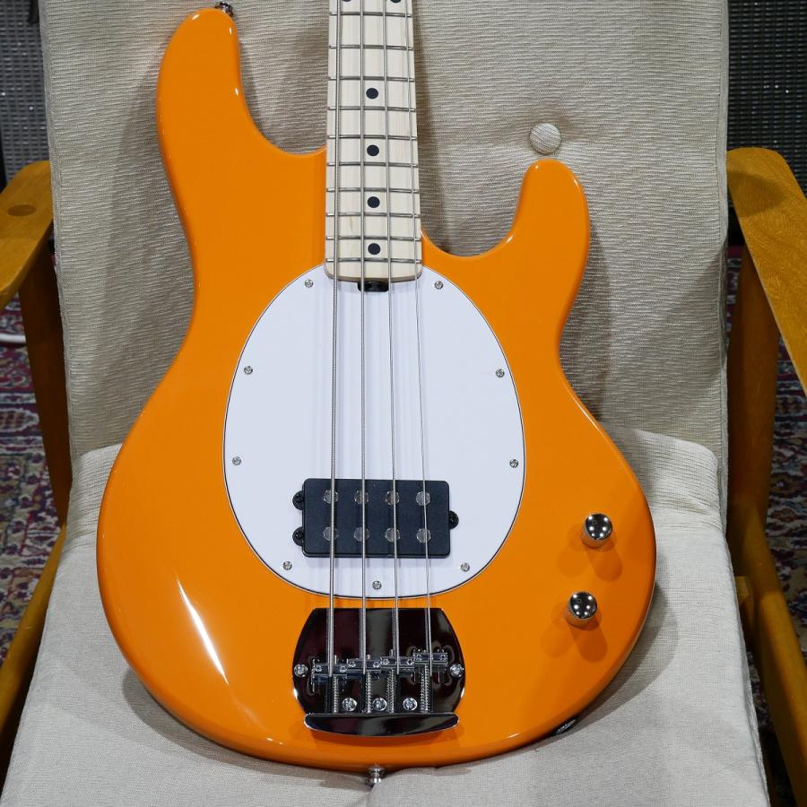 Sterling by MUSIC MAN / Intro Series StingRay / RAY2-RAY2-SRO-M1 ...