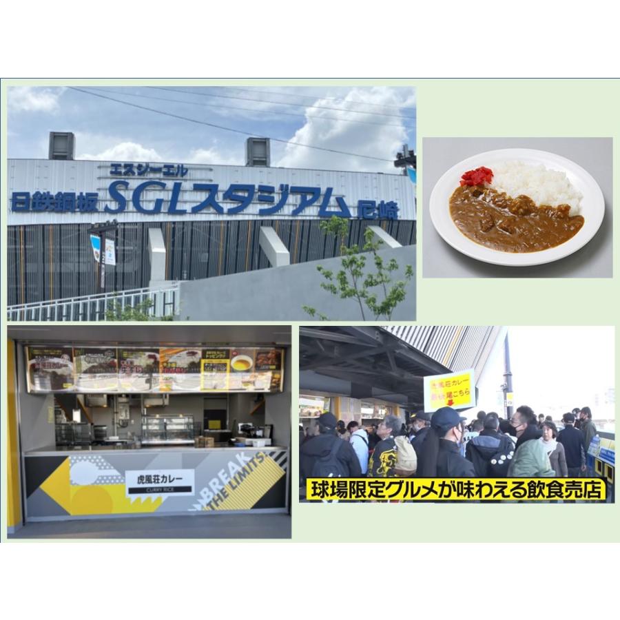 阪神 タイガース 虎風荘 甲子園 カレー コラボセット 中辛 辛口 レトルト 10食 ギフト 贈答 送料込 : 旅のプロが名産品を紹介ホップスYahoo!店 - 通販 - Yahoo!ショッピング
