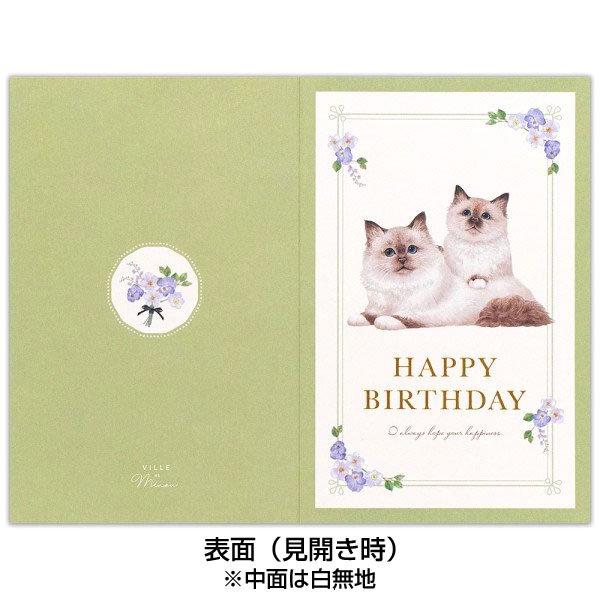 バースデーカード Minou シピとニナ 4456303 二つ折り 絵柄付中紙入 エヌビー NB グリーティングカード お誕生お祝い ねこ ネコ : 堀萬昭堂 ヤフー店 - 通販 ...