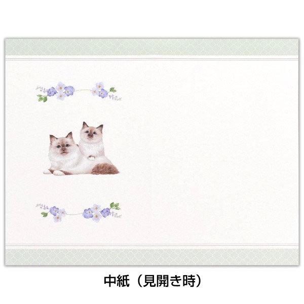 バースデーカード Minou シピとニナ 4456303 二つ折り 絵柄付中紙入 エヌビー NB グリーティングカード お誕生お祝い ねこ ネコ : 堀萬昭堂 ヤフー店 - 通販 ...