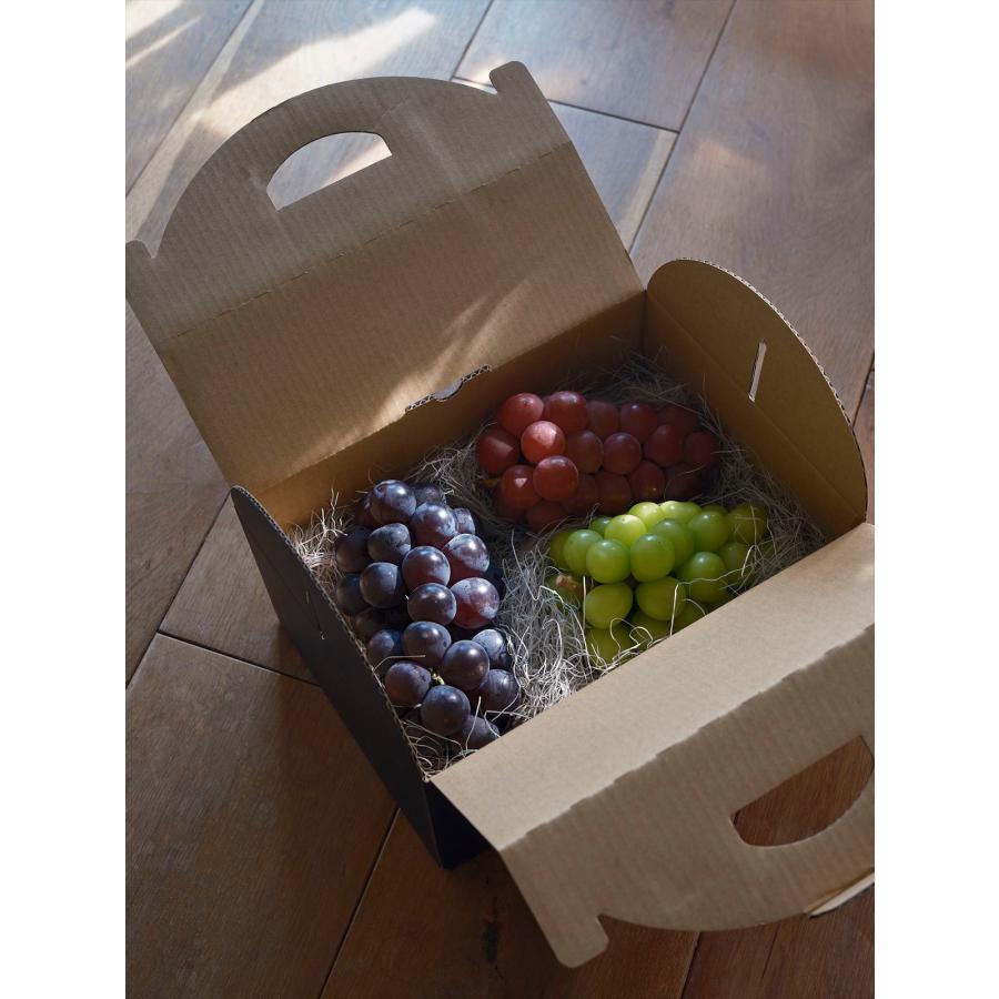 ブドウ 2WAY BOX 1kg (25枚入) : 星野株式会社 - 通販 - Yahoo!ショッピング