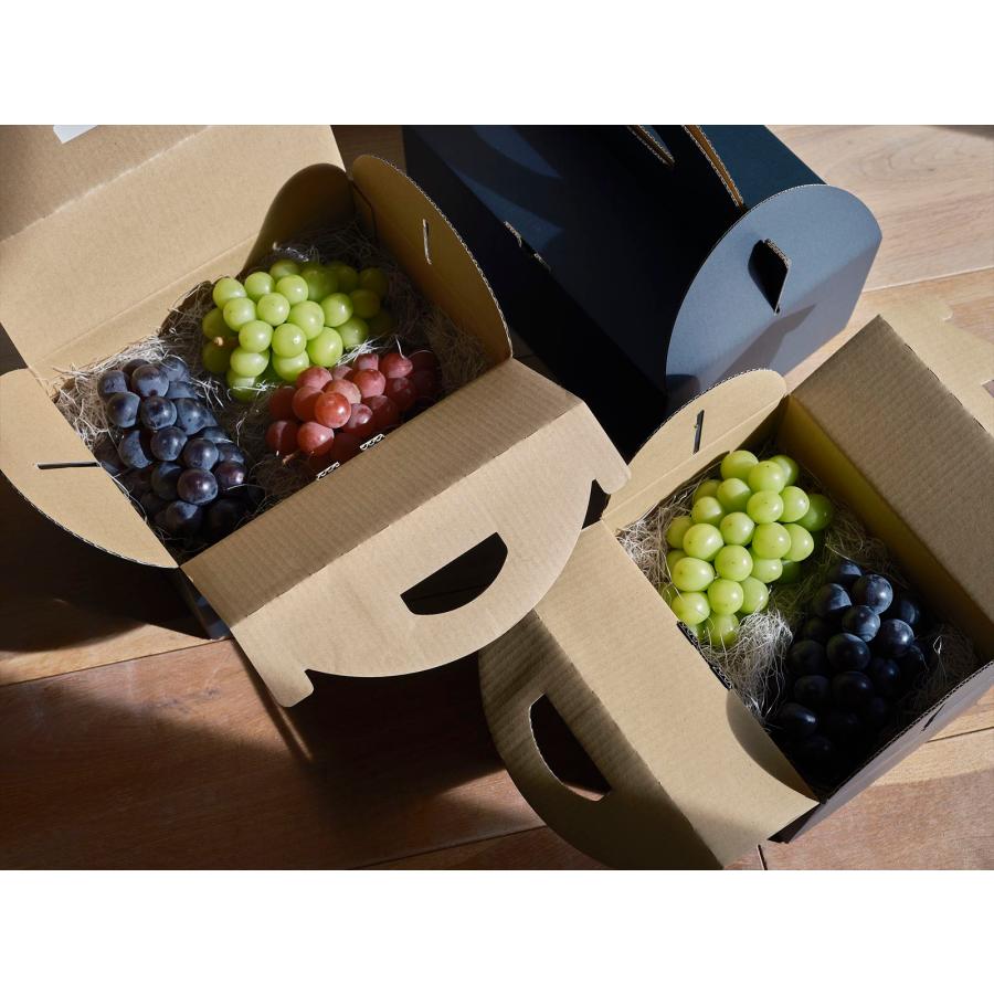 ブドウ 2WAY BOX 1kg (25枚入) : 星野株式会社 - 通販 - Yahoo!ショッピング