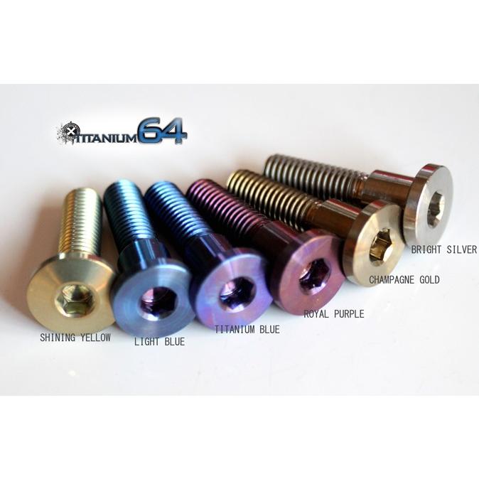 Titanium64 フロントディスクボルト スズキ用 ロングタイプ 10本 チタンは錆びることなくいつまでも輝きを保ち続けます ...