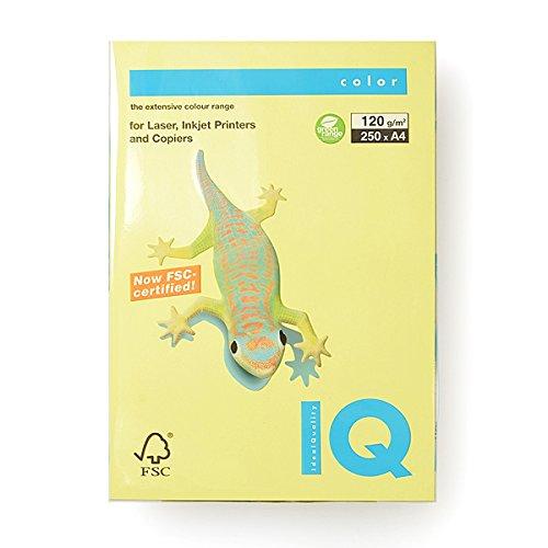 バイオトップカラー レモン A4/120グラム 250T : s-b002mzq2ai-20240912 : ホットミーティア - 通販 - Yahoo!ショッピング