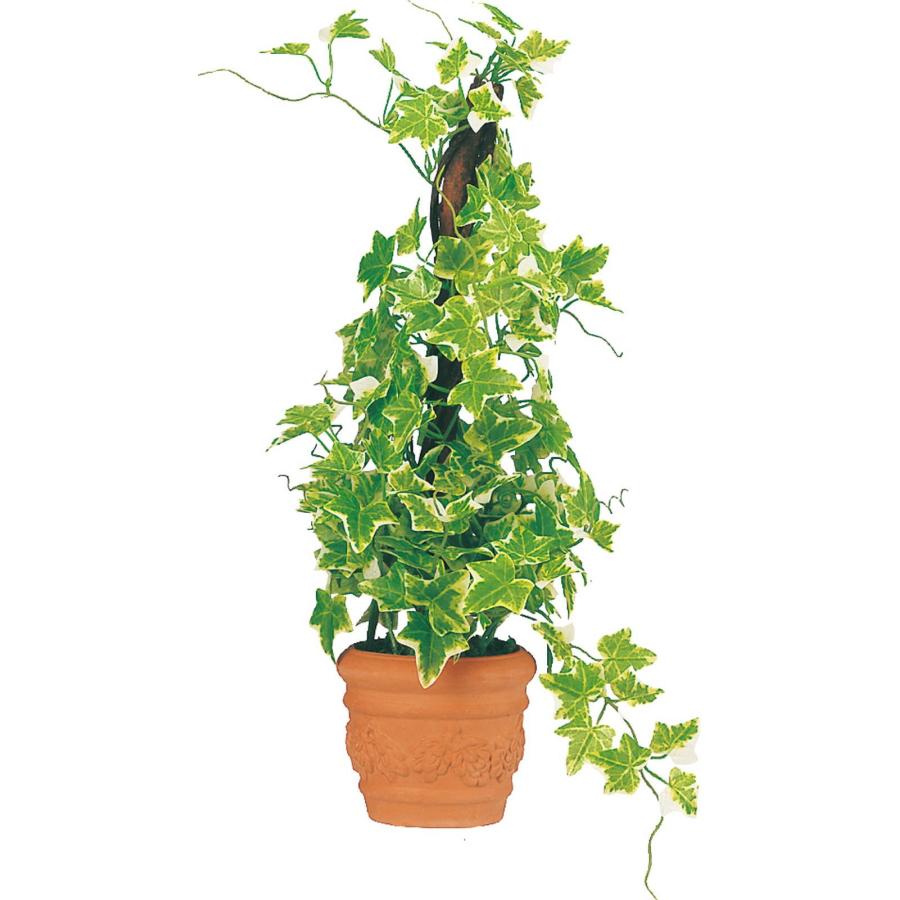 ポピー(Poppy) 造花 ホーランドアイビーポット GLA-0360 : ホットミーティア - 通販 - Yahoo!ショッピング