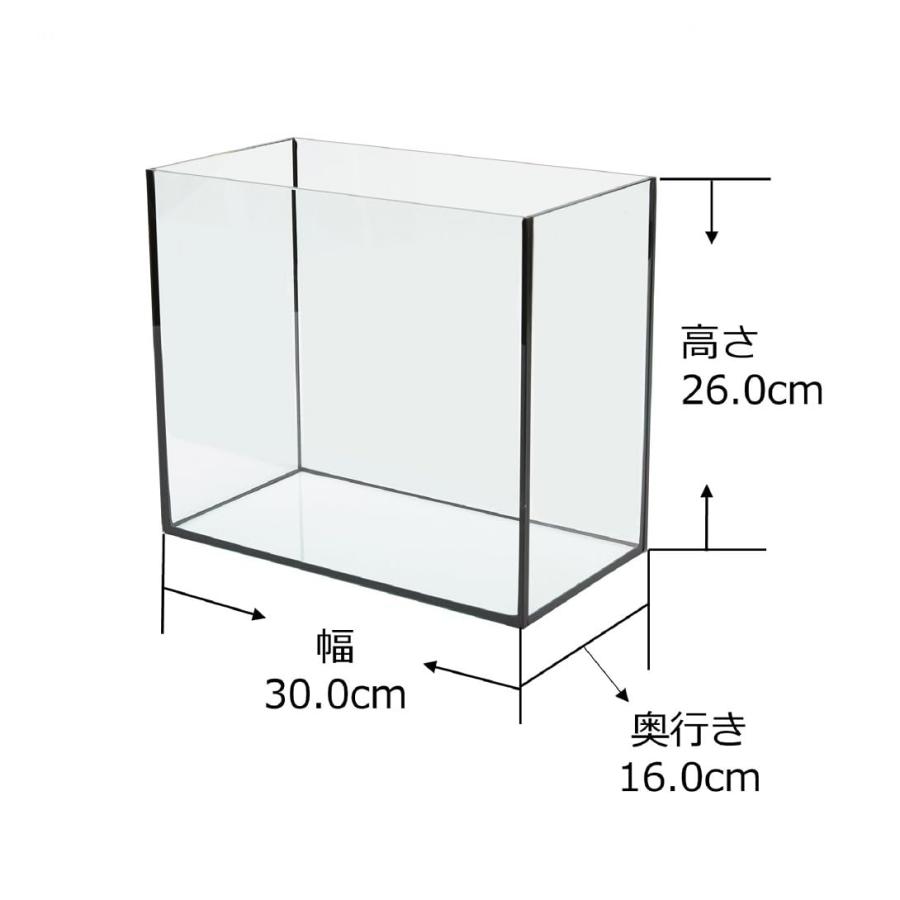 テトラ (Tetra) ガラス 水槽 オールグラスアクアリウム GA-300F アクアリウム 熱帯魚 メダカ 金魚 : ホットミーティア - 通販 - Yahoo!ショッピング