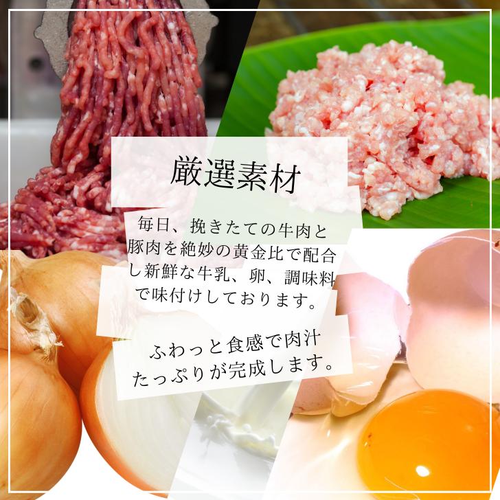 \札幌の人気店／ファイヤーバーグ（レギュラー）165g : ぎょうざの宝永 公式ヤフー店 - 通販 - Yahoo!ショッピング