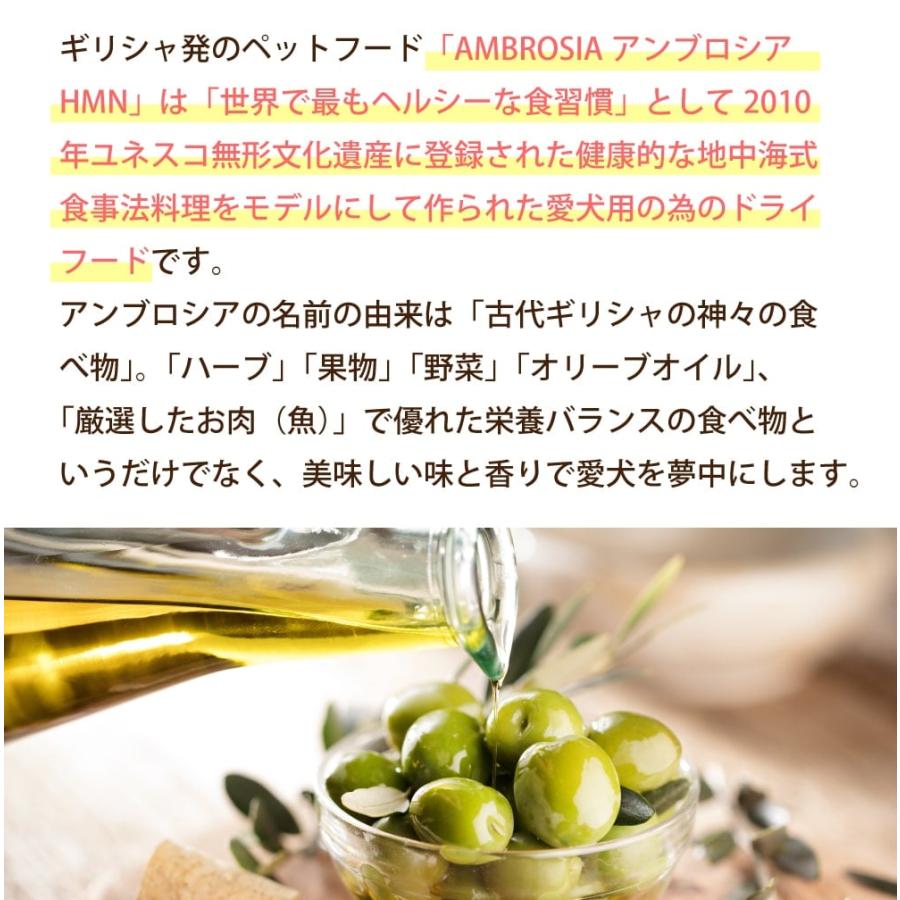 アンブロシア HMNターキー 100g お試しサイズ 愛犬用ドライフード : 安心おやつ歯みがき帝塚山ハウンドカム - 通販 - Yahoo!ショッピング