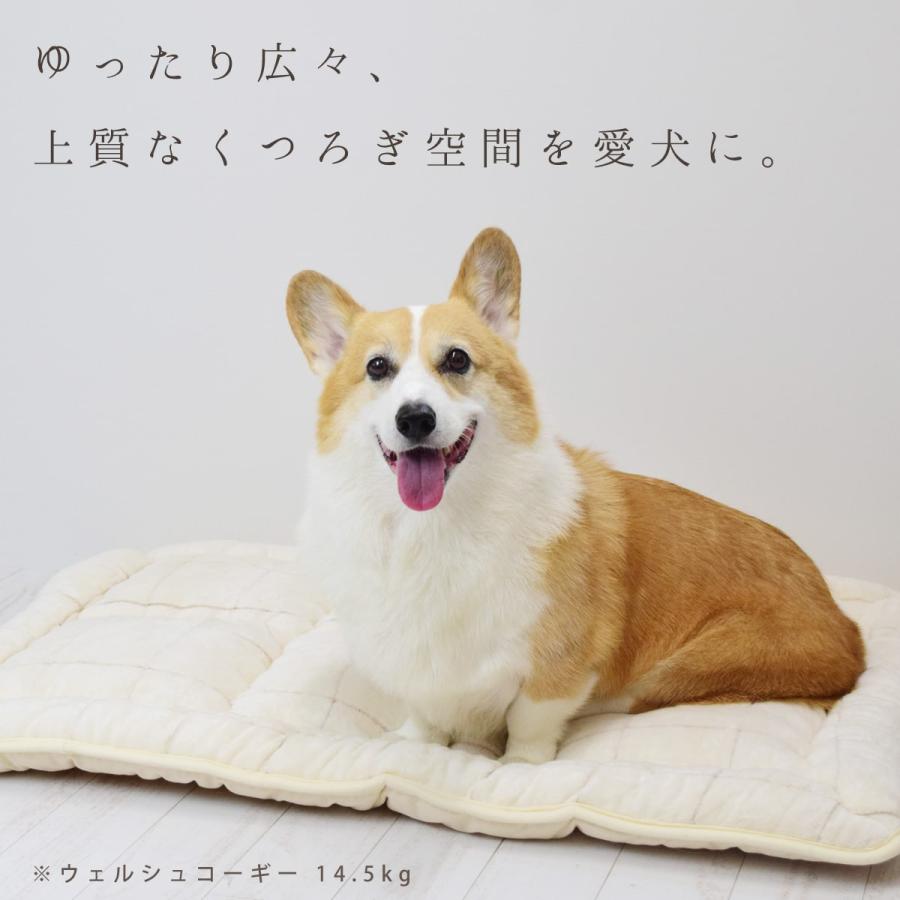 愛犬愛猫用 シール織りウィンドペン ウォッシャブルマット Lサイズ 日本製 appy dog cat : 安心おやつ歯みがき帝塚山ハウンドカム ...