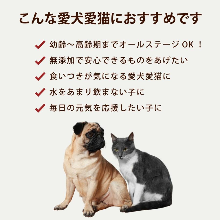 帝塚山ハウンドカム 犬 猫 ドッグフード スープ 国産 無添加 子犬 成犬 シニア犬 水分補給 トッピング 愛犬愛猫の鶏のうま味と6種の滋養たっぷりだしスープ 12袋（50g×12袋） : 犬 ...