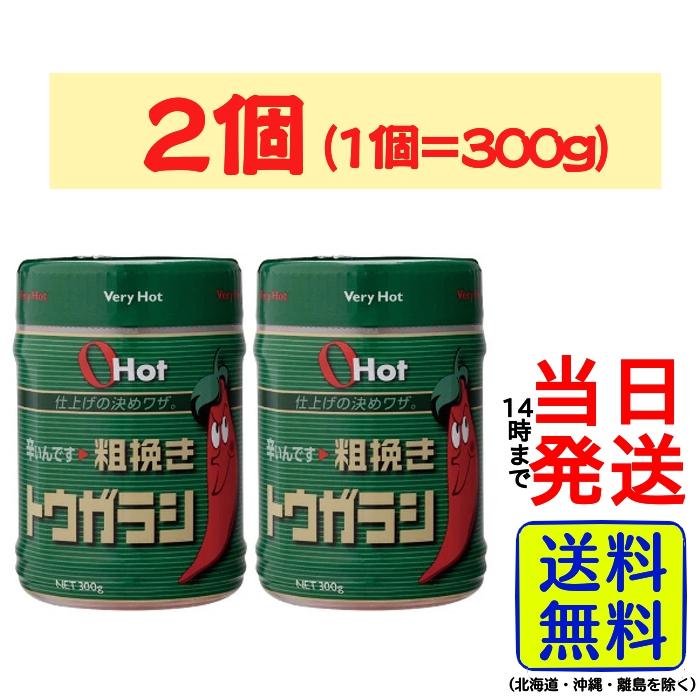 富士食品工業 OHot.グリーン 300g x2 : カップ麺の総合食品卸問屋housechoice - 通販 - Yahoo!ショッピング