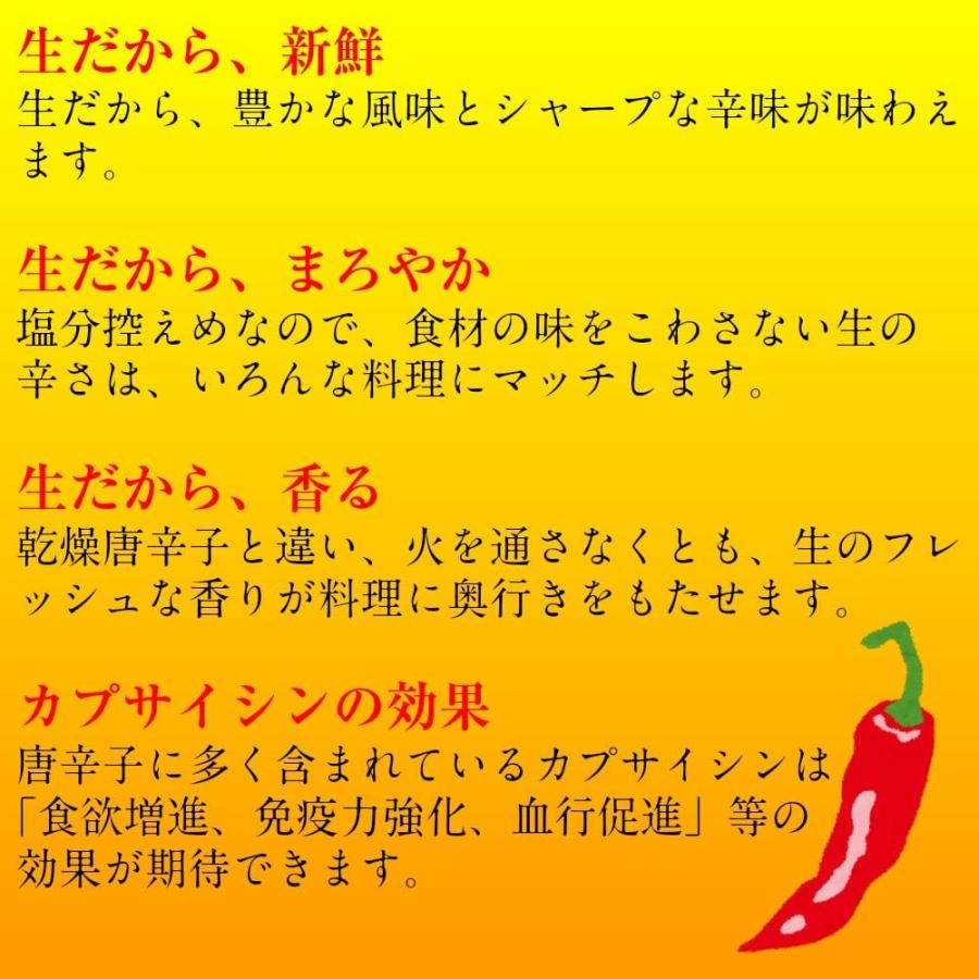 富士食品工業 OHot.グリーン 300g x2 : カップ麺の総合食品卸問屋housechoice - 通販 - Yahoo!ショッピング