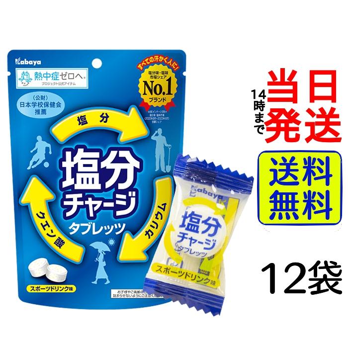 Kabaya カバヤ 塩分チャージタブレッツ 81g×12袋 : カップ麺の総合食品卸問屋housechoice - 通販 - Yahoo!ショッピング