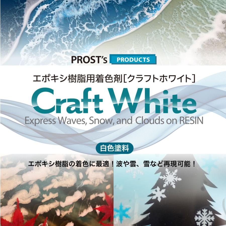 PROST’s Craft White クラフトホワイト 1kg / エポキシ樹脂 着色 レジン レジンカラー 海レジン 白 オーシャンアート : PROST株式会社 - 通販 - Yahoo ...