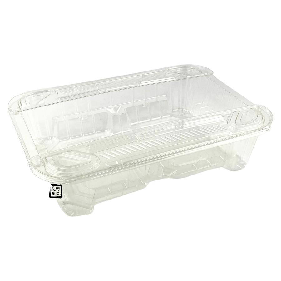 屋号必須 STR-平 2個セットパック CP007637 338×243×83mm ボタン 屋号必須 STR-平 2個セットパック CP007637 338×243×83mm ボタン