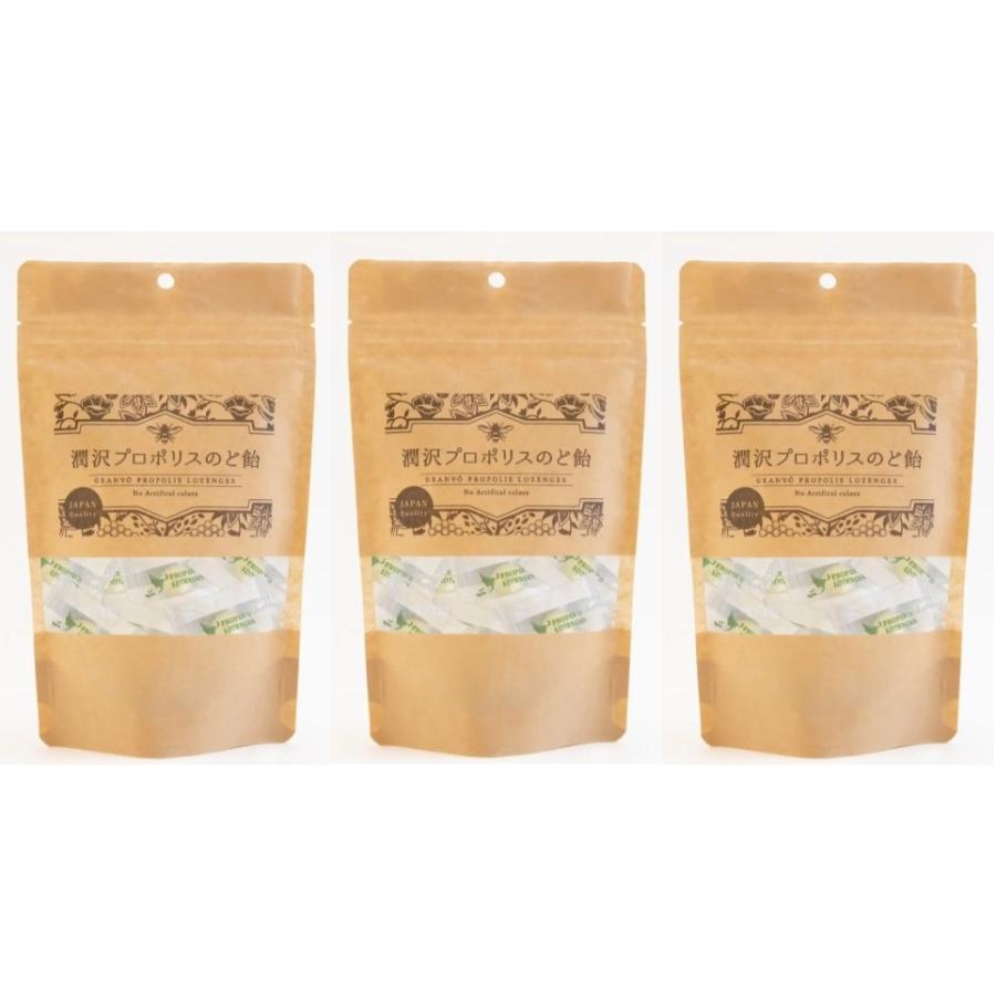 グランヴォ 潤沢プロポリスのど飴 74g 24粒 3袋セット : Houzyoushop - 通販 - Yahoo!ショッピング