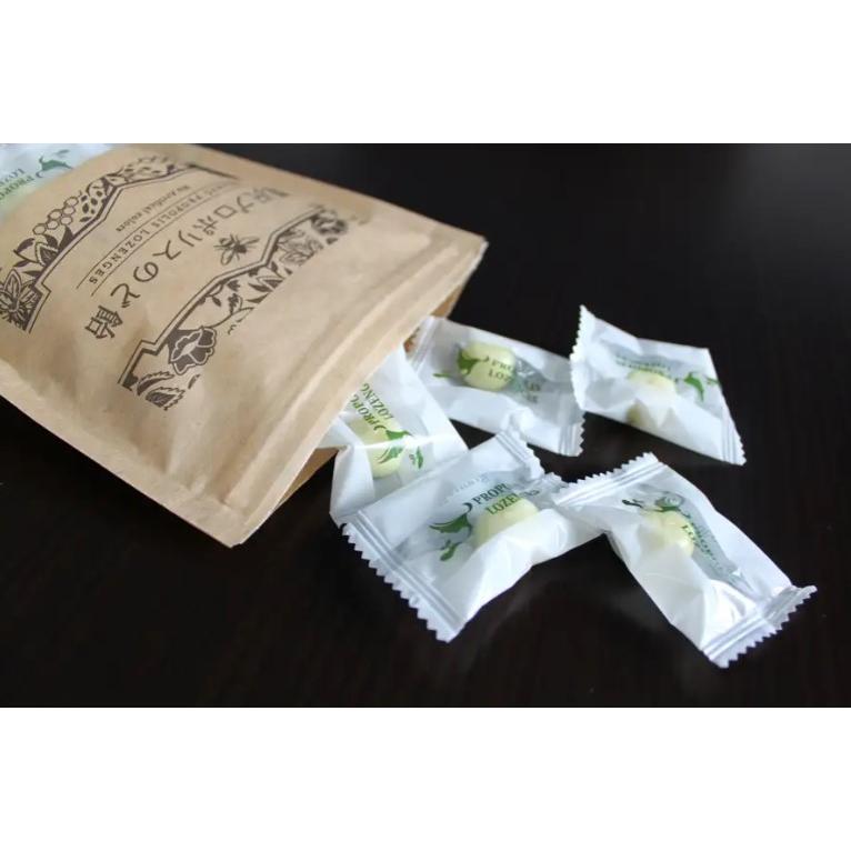 グランヴォ 潤沢プロポリスのど飴 74g 24粒 3袋セット :GRANVO-1-3:Houzyoushop - 通販 - Yahoo!ショッピング