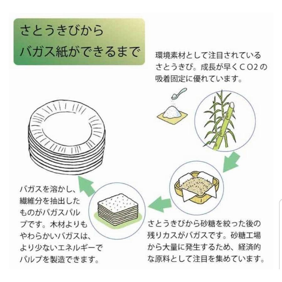 テイクアウト用【HEIKO】バガスペーパーウェア どんぶり（業務用）C150 ND115（天然パルプバガス紙） ф115x45mm 【2400枚】 : 包材屋ヤフー店 - 通販 - Yahoo ...