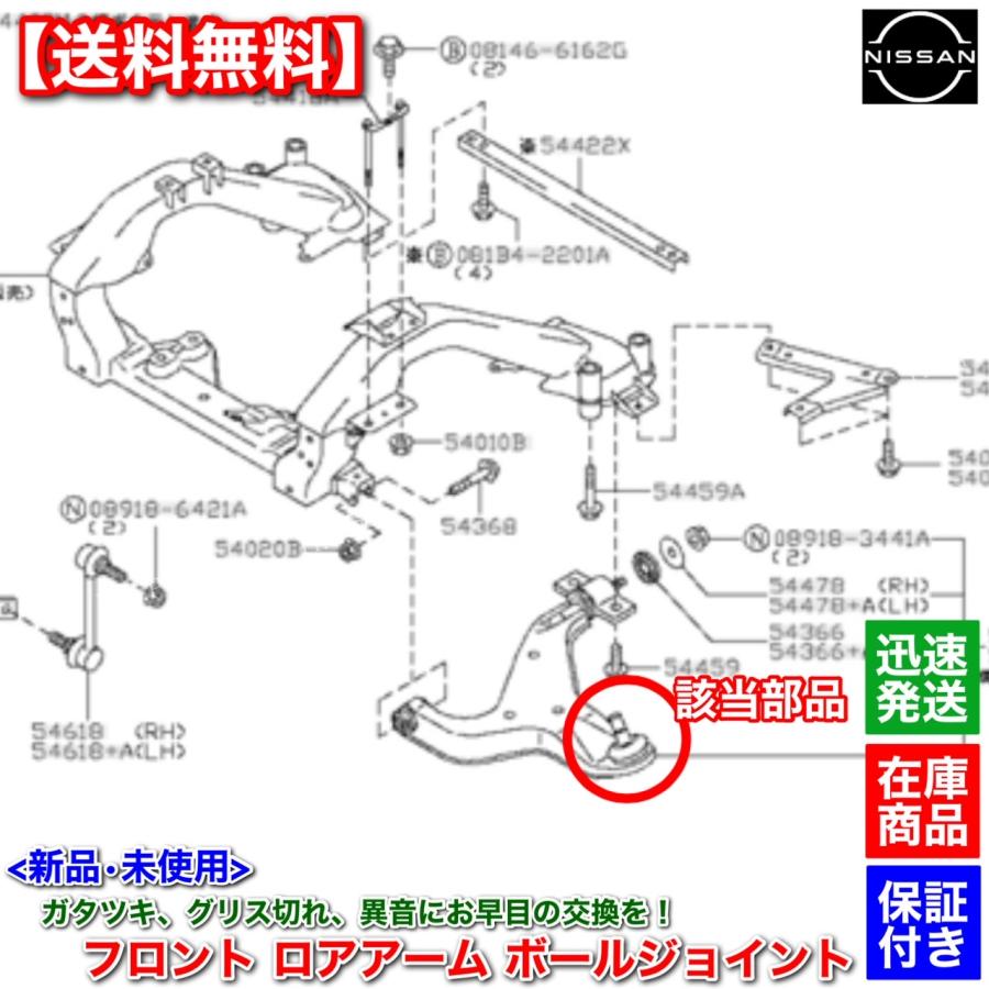 日産 新品 フロント ロアアーム ボールジョイント 左右 2個 E51 エルグランド E51 NE51 ME51 MNE51 54500-WL000 54501-WL000 54500 ...