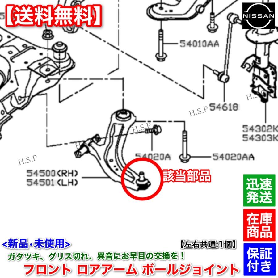 日産 ウイングロード Y12 NY12 JY12 新品 フロント ロアアーム ボールジョイント 左右 1個 54500-1FU0B 54501-1FU0B 54500-1JY0A 54501 ...