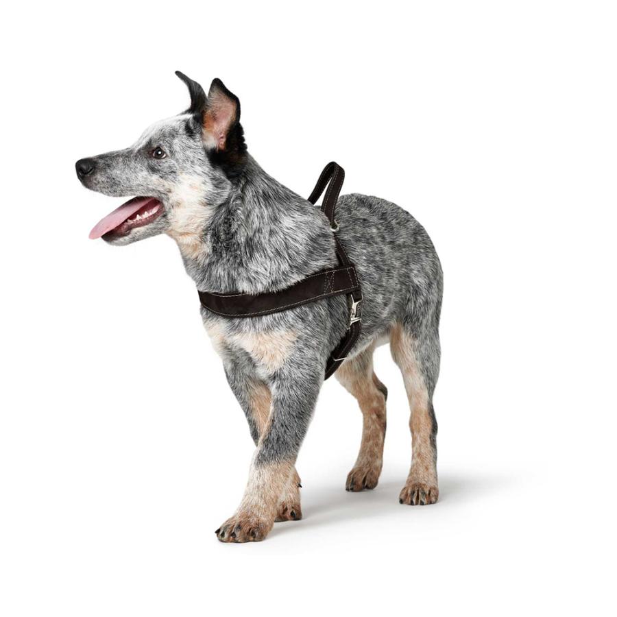 HUNTER（ハンター） 犬用 ハーネス ハンティング 71-97/L2 : HUNTERYahoo!店 - 通販 - Yahoo!ショッピング