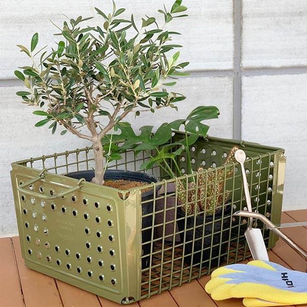 D.M.S GYM 21L D.M.S. ジム 21L ワイヤーバスケット 収納 インダストリアル ダルトン DULTON :ddms01:Hutte - 通販 - Yahoo!ショッピング