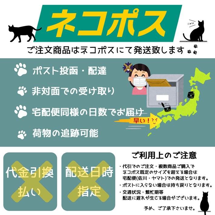 選べる5柄×3サイズ ネックレス チェーン メンズ レディース サージカルステンレス316L NEK ★REV 7987515 50cm 60cm 70cm シンプル おしゃれ ...