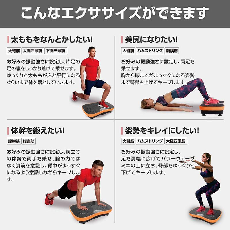 HZDMJ 振動マシン 3D 3年保証 ダイエット器具 効果 静音 格安 小型 シェイカー式 ブルブルマシーン ぶるぶる 痩せた 人 コンパクト 敬老の日 プレゼント :20zdj:HZDMJ ...