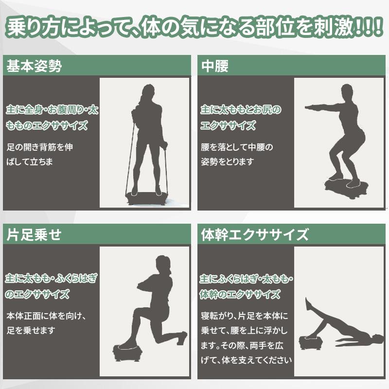 3年保証 HZDMJ 3D 振動 マシン ブルブル ステッパー おすすめ ダイエット 器具 静音 PSE認証 ランスウェーブ 運動不足解消 シェイカー式 : HZDMJ - 通販 ...