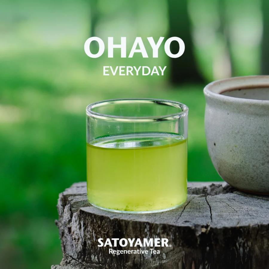 OHAYO - EVERYDAY（パウダー） : SATOYAMER - 通販 - Yahoo!ショッピング
