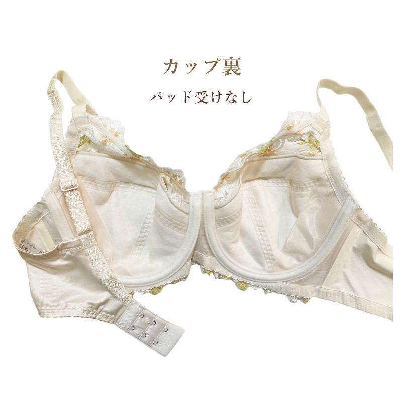 Wing ワコール ウイング レシアージュ ブラジャー PB5010 Wacoal Lesiage 5010シリーズ Classic3 フルカップ (D・E・Fカップ ) : インナーショップ ...